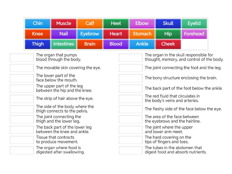 Match the word with it's definition - Match up