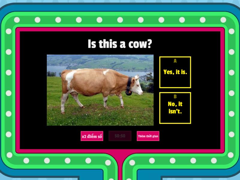 Kids: Is this a cow? - Gameshow quiz
