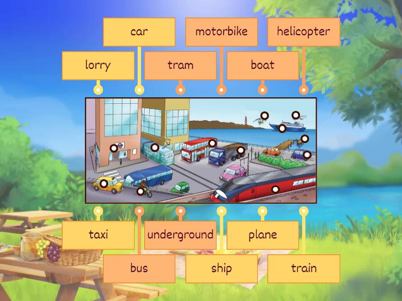 Unit 7.1 transport - Labelled diagram
