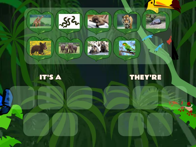 KID S BOX 1 U7 PLURALS - Group sort