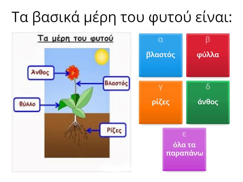 ΕΠΑΝΑΛΗΠΤΙΚΟ ΚΟΥΙΖ - Quiz
