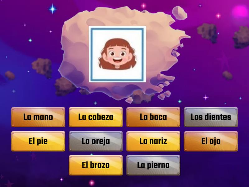 El cuerpo humano - Find the match