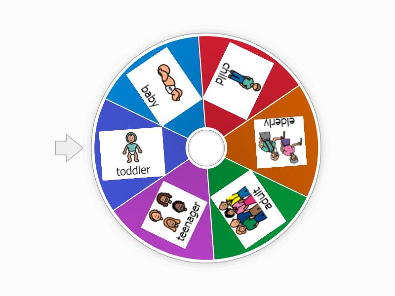 Stages of Life - Spin the wheel