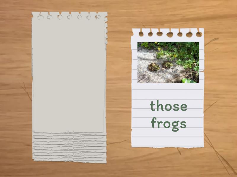 this/that - these/those - Speaking cards