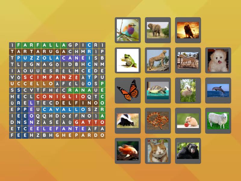 1) LEZIONE 12 Esercizio 1 ANIMALI - Wordsearch