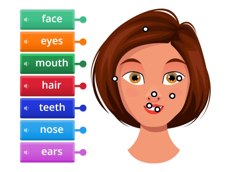 GoGetter1 - Unit 4 - Face - Labelled diagram