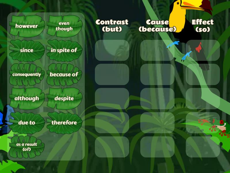 Linking words (contrast, cause and effect) - Group sort