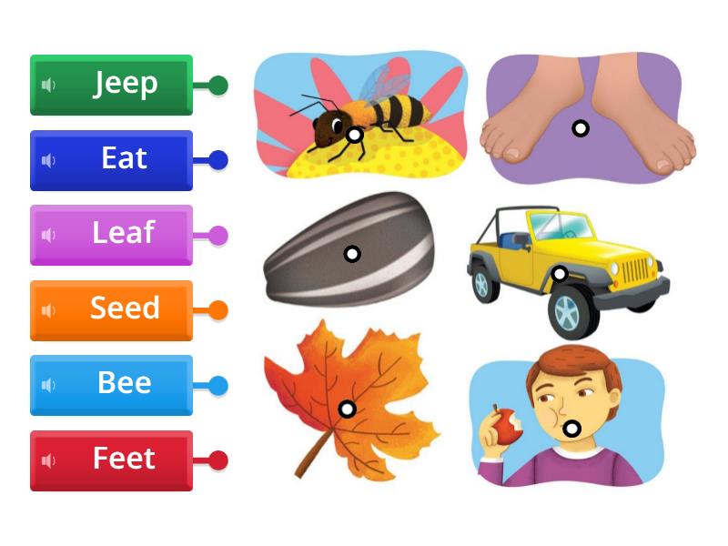 Oxford Phonics ee-ea-y-ey - Labelled diagram