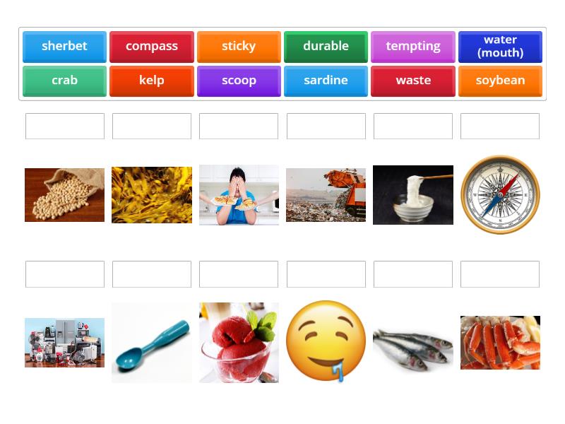 Let's match the pictures to the vocabulary: - Match up
