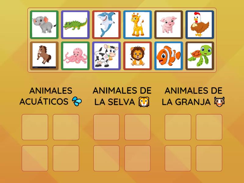GRUPOS DE ANIMALES - Group sort