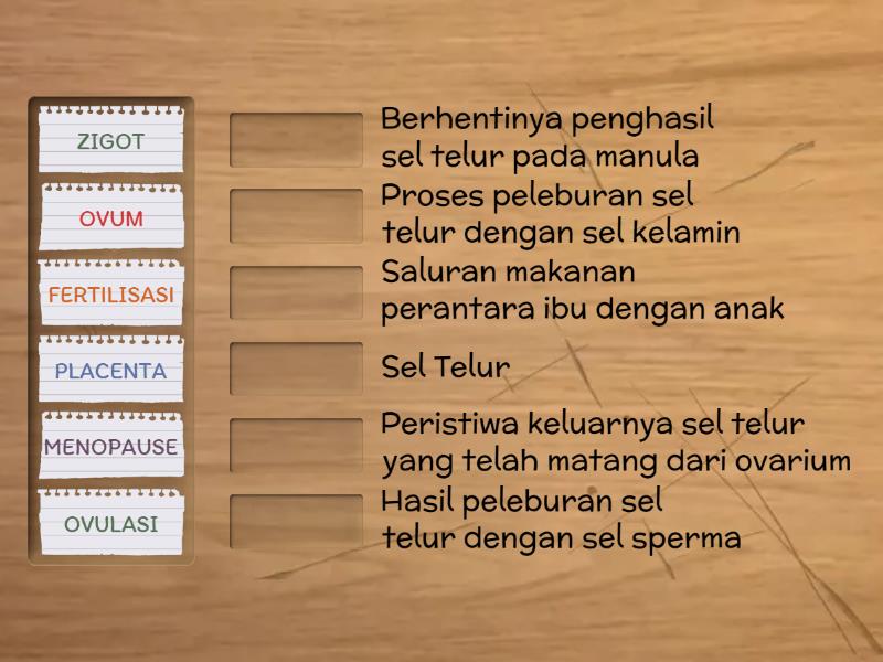 TERMINOLOGI SISTEM REPRODUKSI MANUSIA - Match up