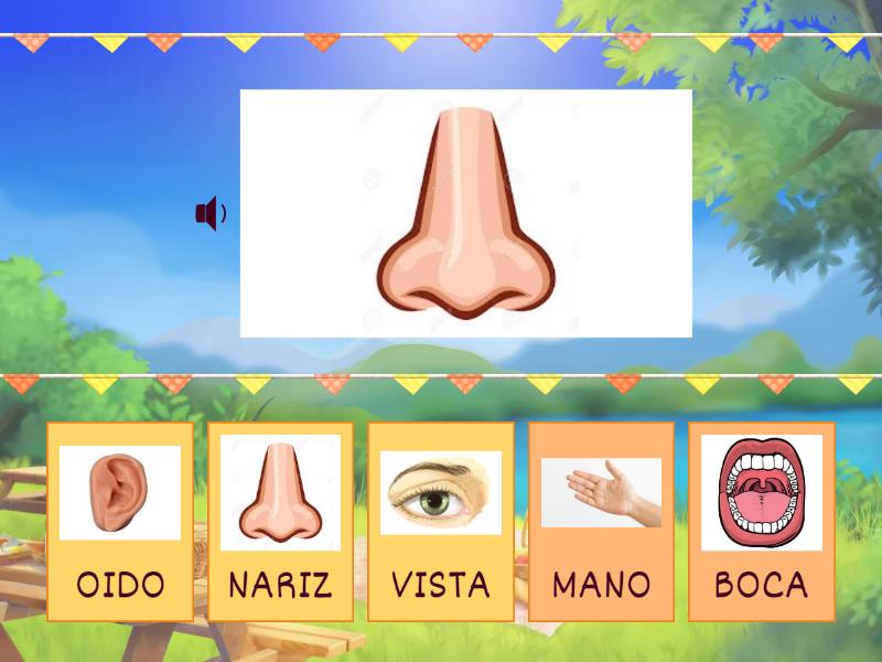 LOS 5 SENTIDOS - Find the match