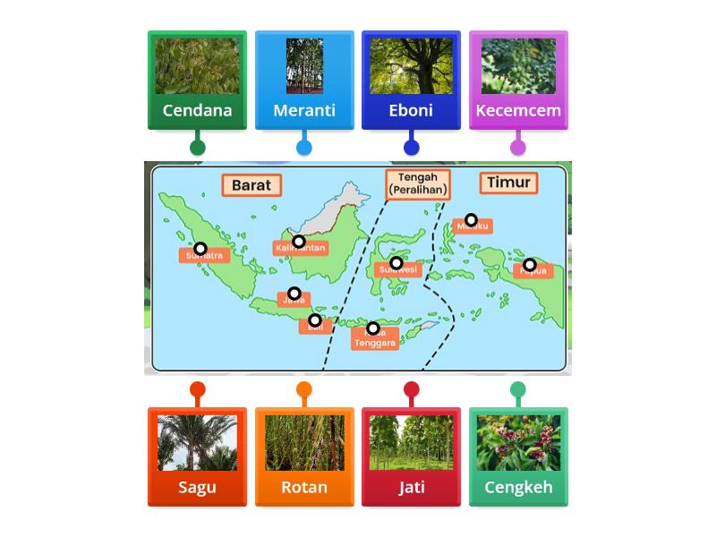 Persebaran Flora di Indonesia - Labelled diagram