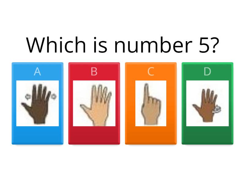 BSL Numbers - Quiz