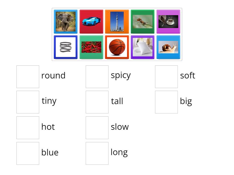 Match: Describing Words - Match up