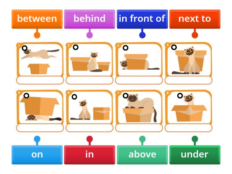 ACPB-K12-Prepositions of place - Labelled diagram