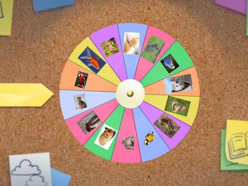 pets - Spin the wheel