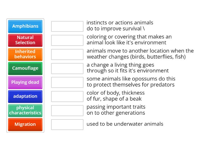 Animal Adaptations - Match up