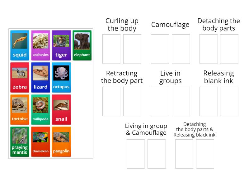 Protection from Enemies (Special Behaviour) - Group sort
