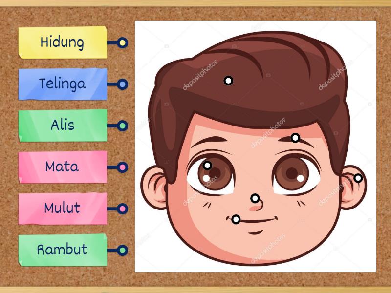 Mengenal wajah manusia - Labelled diagram