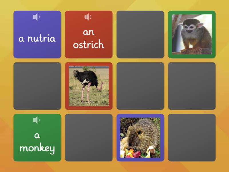 The Animal Alphabet - Matching pairs