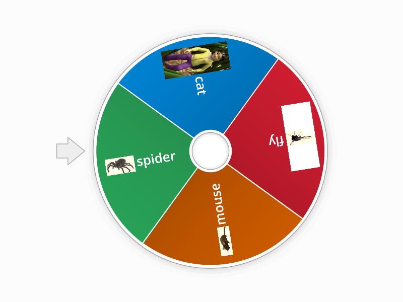 Spin and read - Spin the wheel