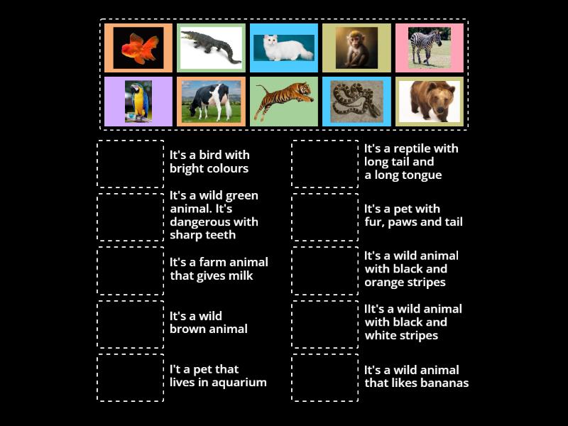 Animals units 20 - Match up