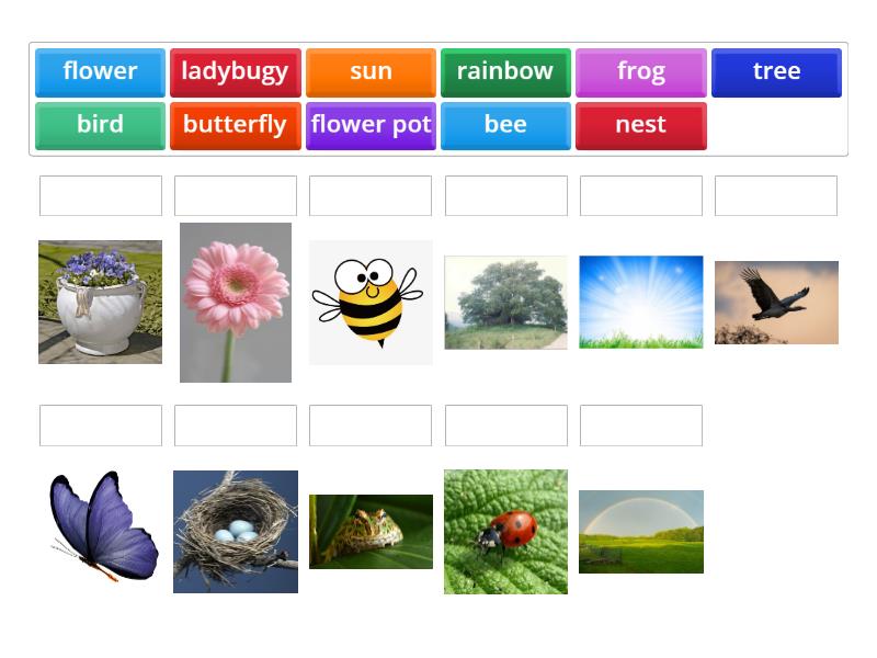 Spring Vocabulary - Match up
