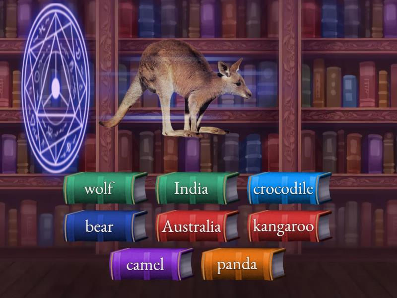 AS2 unit 1 animals - Find the match