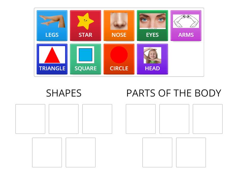 Parts of the body and shapes - Group sort