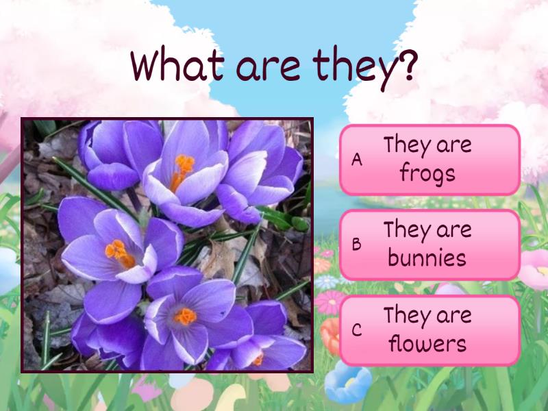 Spring - Quiz