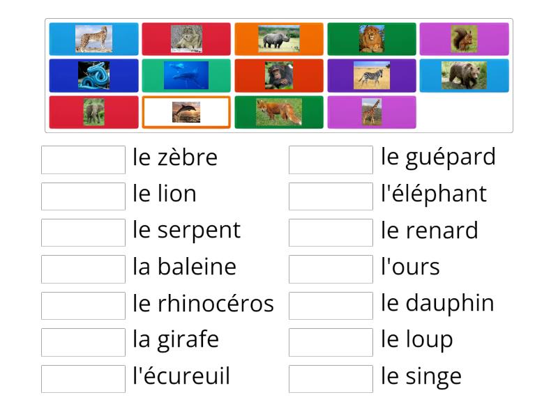 Les animaux sauvages - Match up