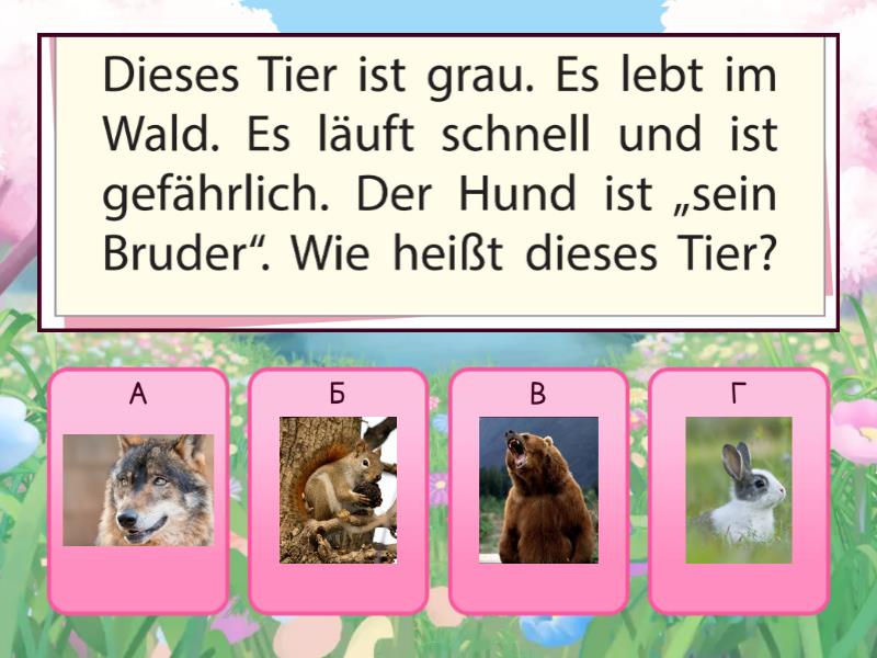 Unsere Tierwelt - Quiz