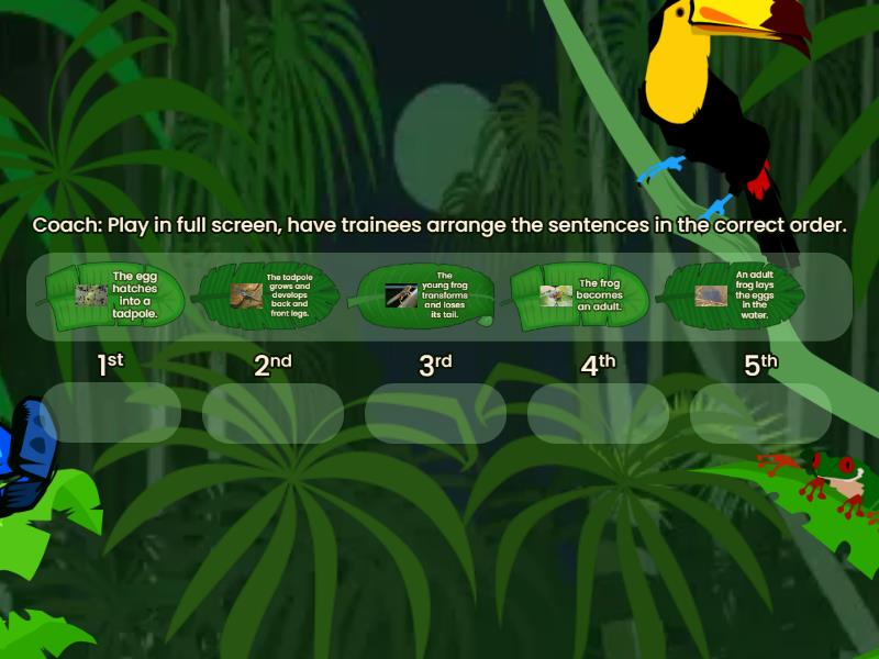 NM KIDS MASTERS L4W1D1 - FROG'S LIFE CYCLE - Rank order