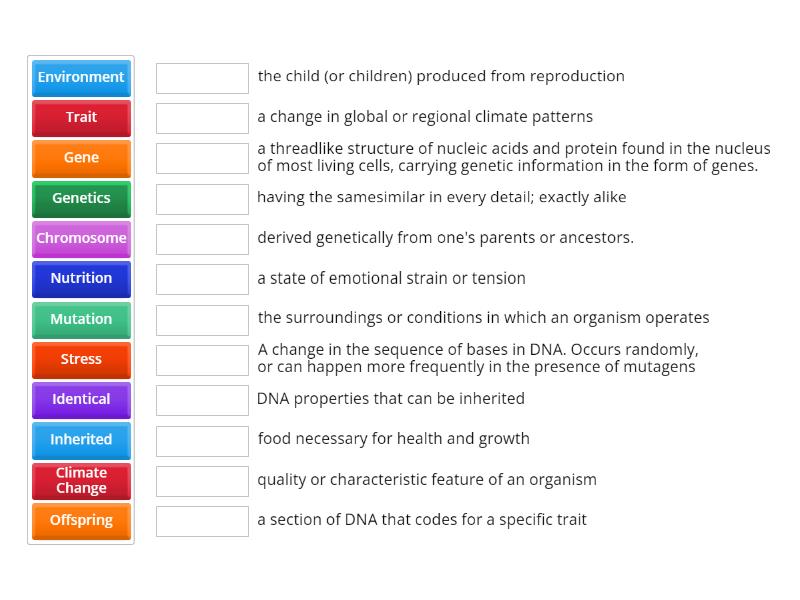 Genetics vs Environment Vocabulary - Match up