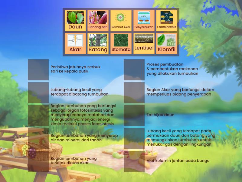Soal Materi IPAS kelas 5 tentang materi tumbuhan - Match up