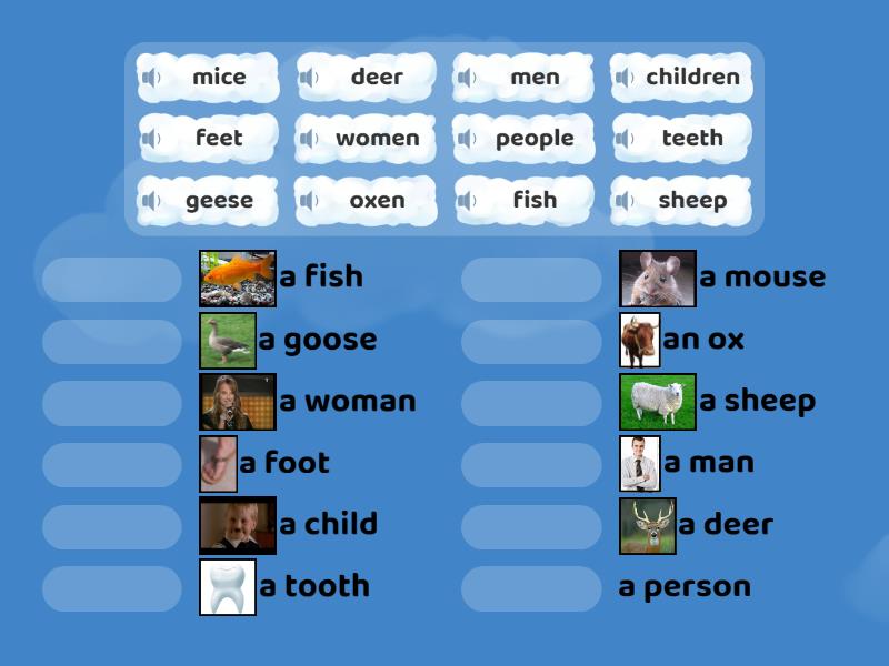 Irregular Plural Nouns - Match up