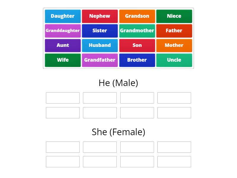 5E Family Members - He/She sorting - 按組排序