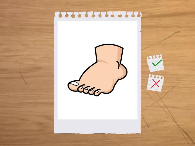 Kid's Box 3 Unit 5 Body Parts - Flash cards