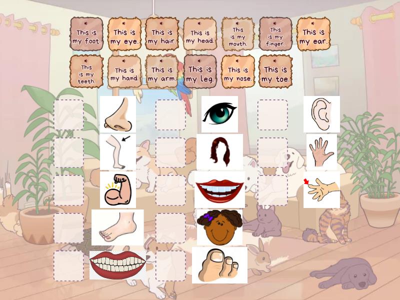 Body Parts - Match up