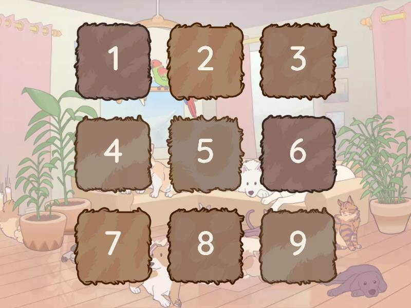 Months of the year - Open the box