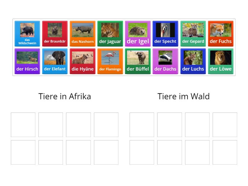 die Wildtiere - Group sort