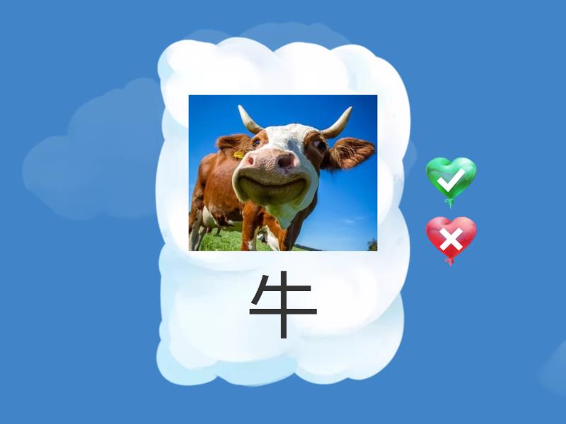 Les animaux de FEFE - Flash cards