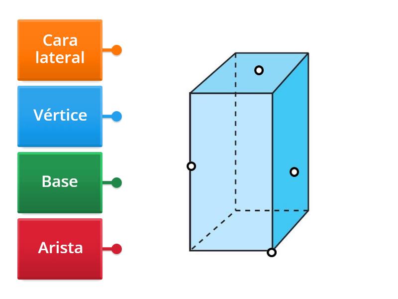 Partes de los Prismas 5°