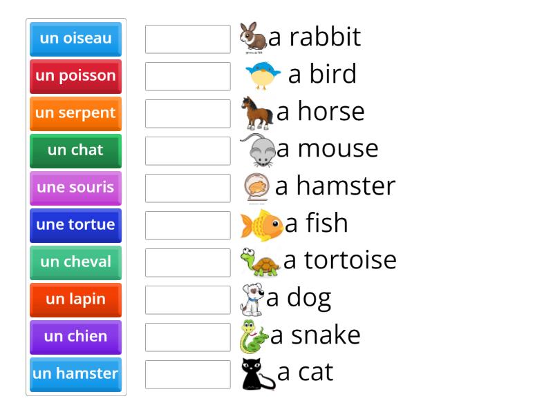 Les animaux - Match up