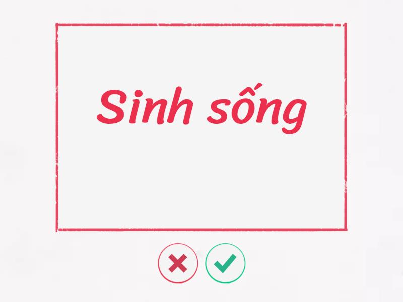 skillful 3 unit 6.3 viet - Flash cards