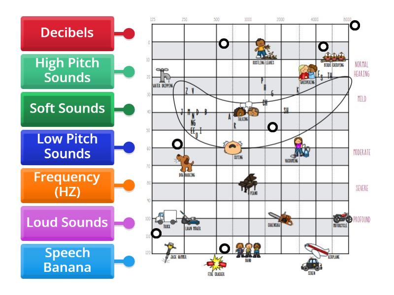 Label the Audiogram - Labelled diagram