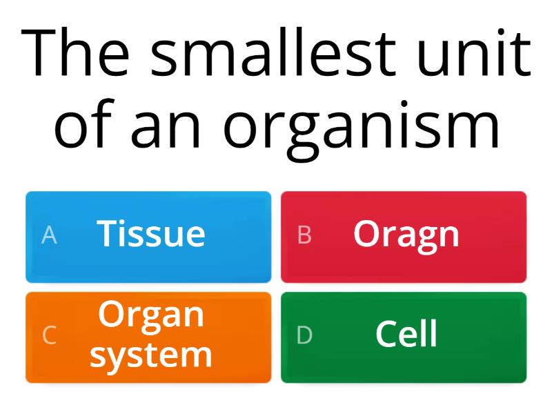 Body systems warm up - Quiz