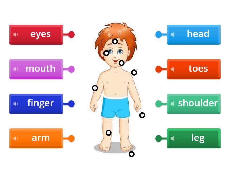 Body Parts ESL - Roni Pe'er - Labelled diagram