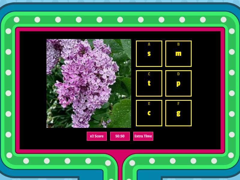 Lesson 3 Final Sound s a t p c g o m (no vowels) - Gameshow quiz